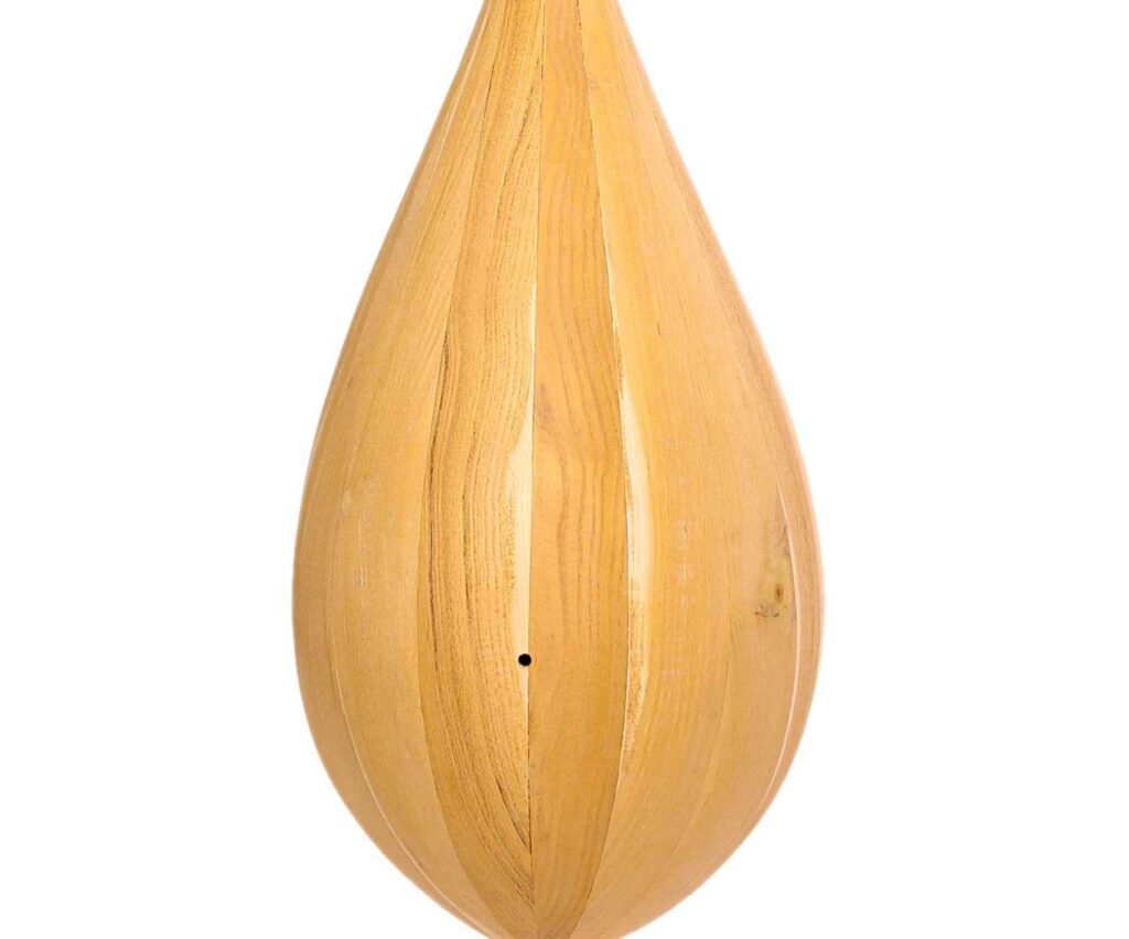 Persian Dotar Instrument Model Torbat Jam - ShopiPersia