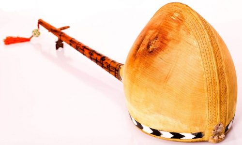 Persian Dutar Instrument by Bakhshandeh, Model Zinat21 - ShopiPersia