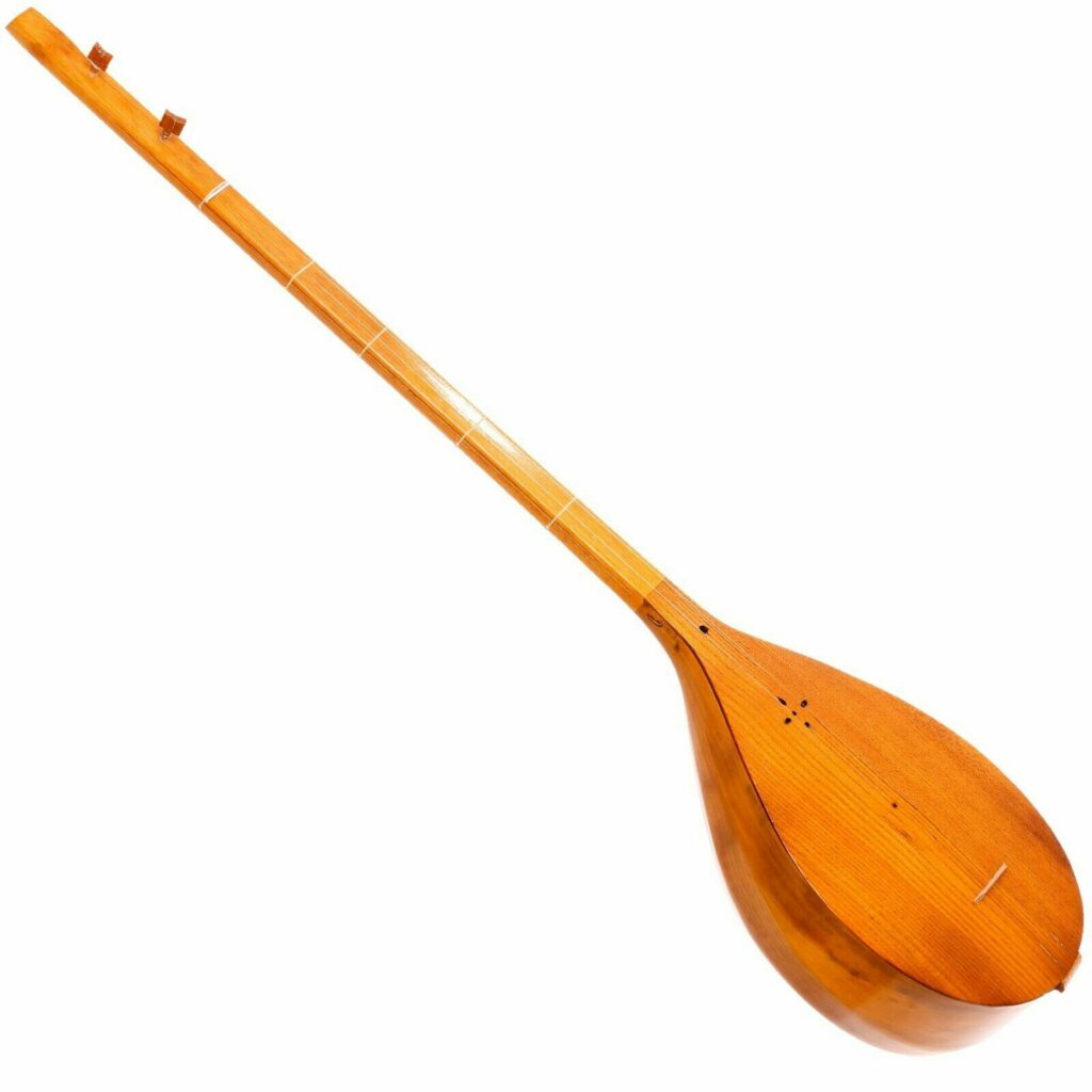 Persian Dutar Instrument by Master Akbari, High-Quality - ShopiPersia