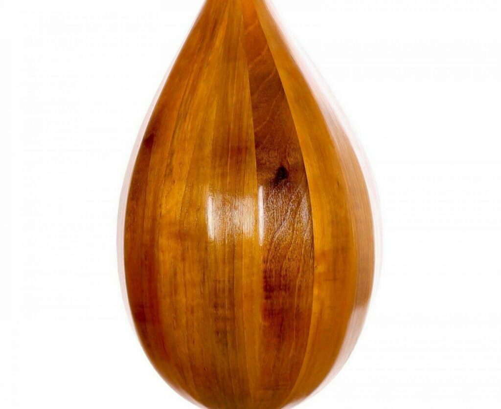 Persian Dutar Instrument by Master Akbari, High-Quality - ShopiPersia