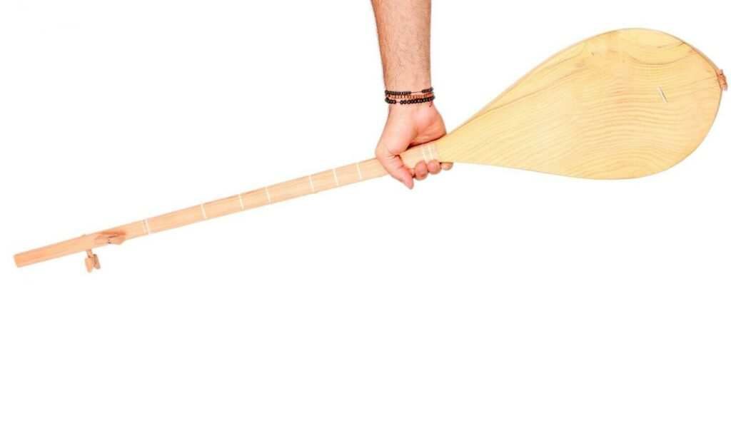 Persian Dutar Instrument, Model Torbat Jam 21 - ShopiPersia