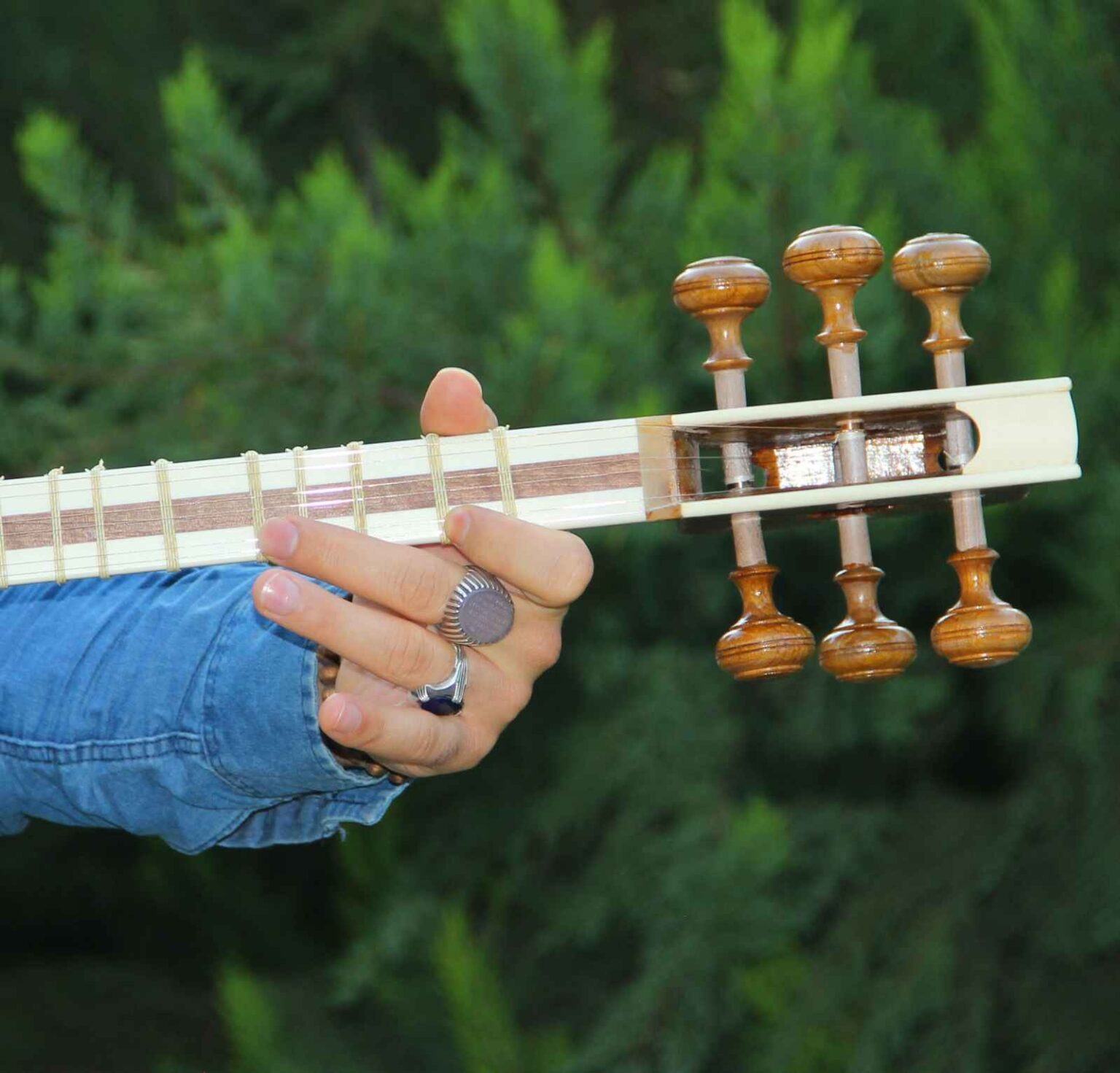 Persian Tar String Instrument – Handcrafted by IranSaz, Model H700 ...