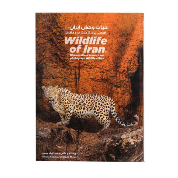 Wildlife of Iran, Where and how to watch and photograph - ShopiPersia