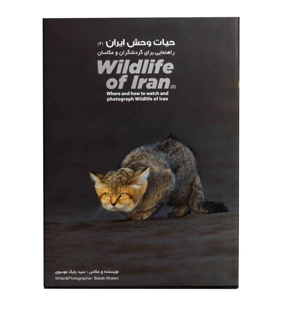 Wildlife of Iran, Where and how to watch and photograph - ShopiPersia