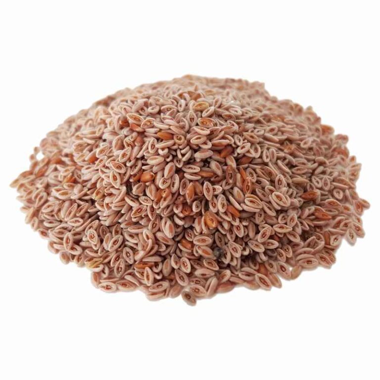 Dried Ispaghula Seeds / Psyllium 600 Gram - ShopiPersia