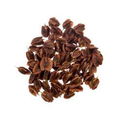 Dried Rhubarb Flowers, 750 Gram | ShopiPersia