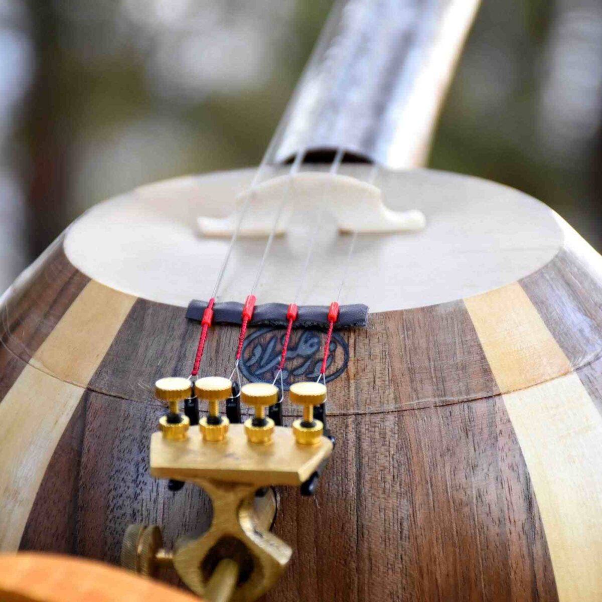 Persian Kamancheh Instrument Handcrafted by Nooralizade Model 20ger ...