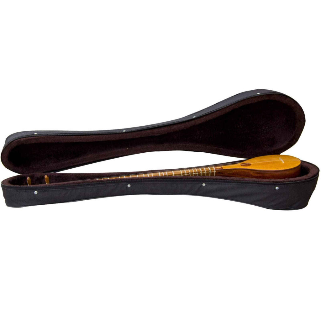 Persian Setar Instrument Handcrafted by Malkshahi Model VIP - ShopiPersia