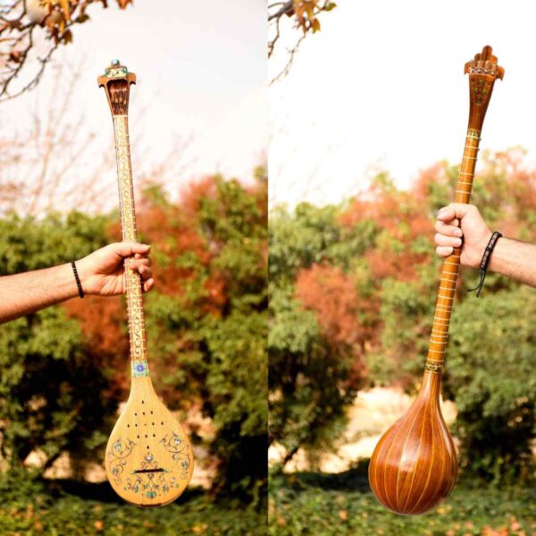 Persian Iransaz Setar Model Golsa - ShopiPersia