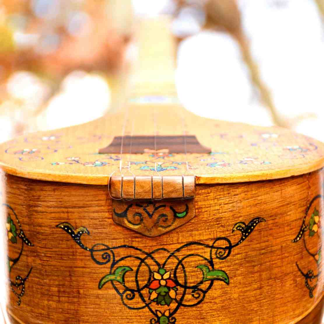 Persian Iransaz Setar Model Golsa - ShopiPersia