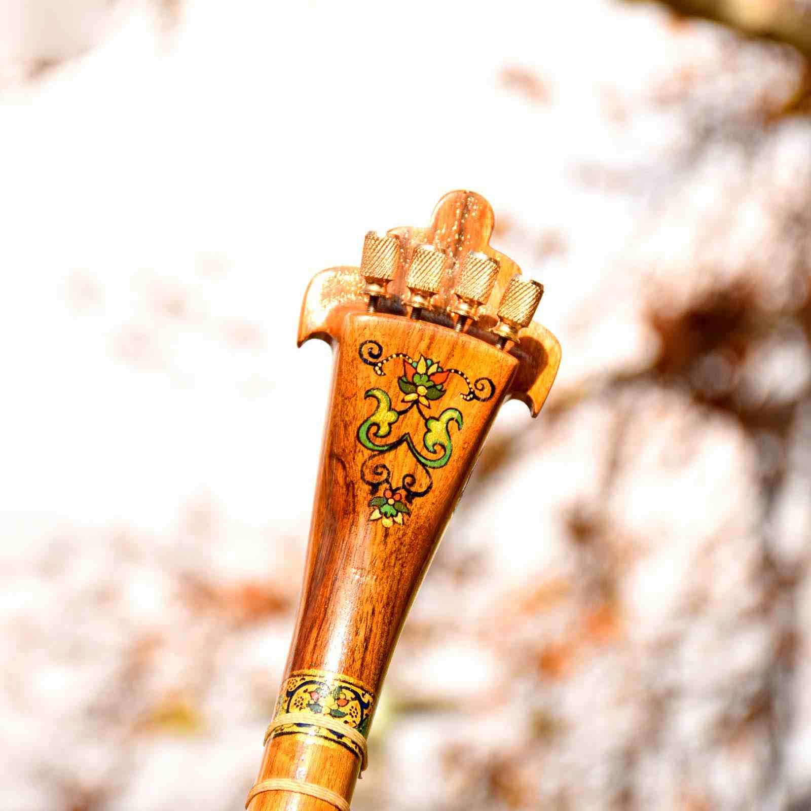 Persian Iransaz Setar Model Golsa - ShopiPersia