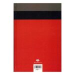 Ali Mohammad Afghani - Doktor baktash Farsi Book - ShopiPersia