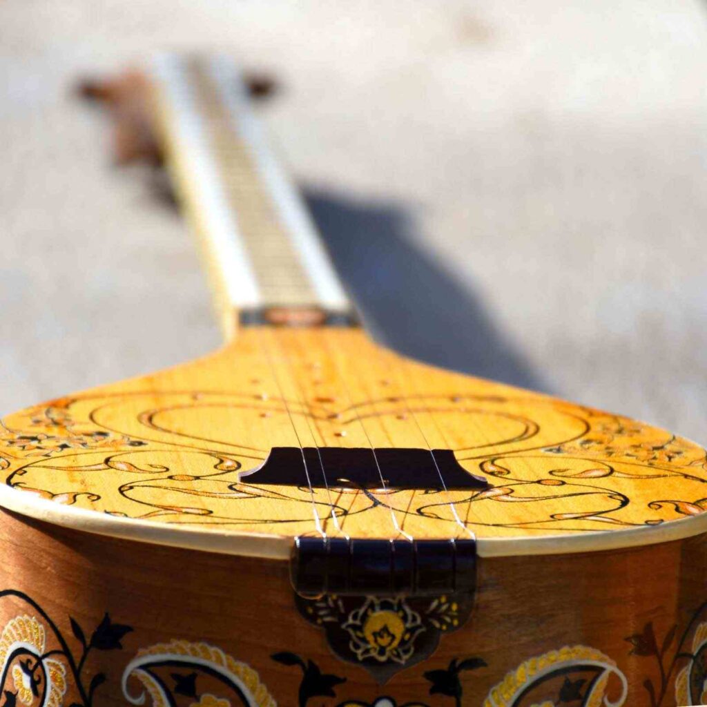 Persian Setar Instrument Handcrafted by Iransaz Model Shayan - ShopiPersia