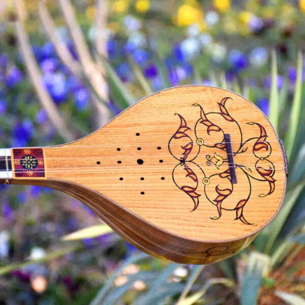 Persian Setar Instrument Handcrafted by Iransaz Model Berna - ShopiPersia