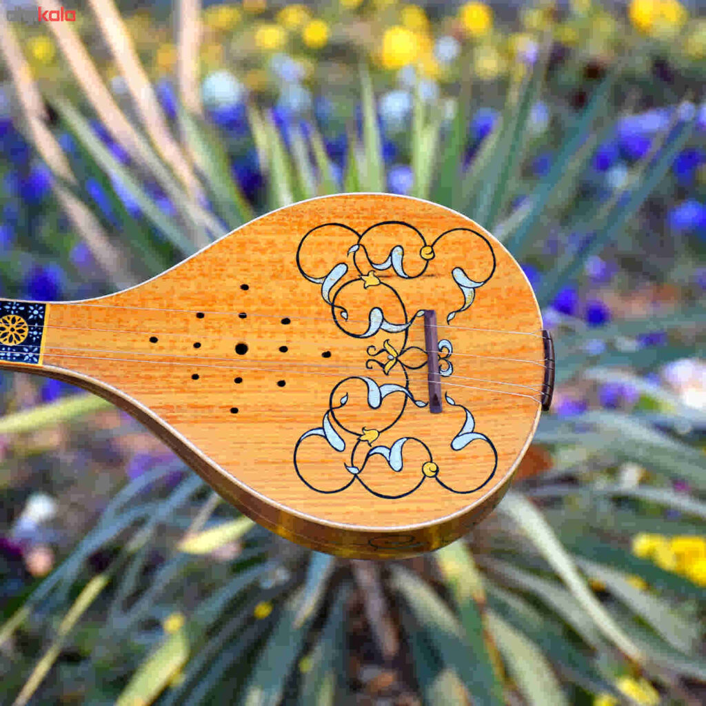 Persian Setar Instrument Handcrafted by Iransaz Model Barbad - ShopiPersia