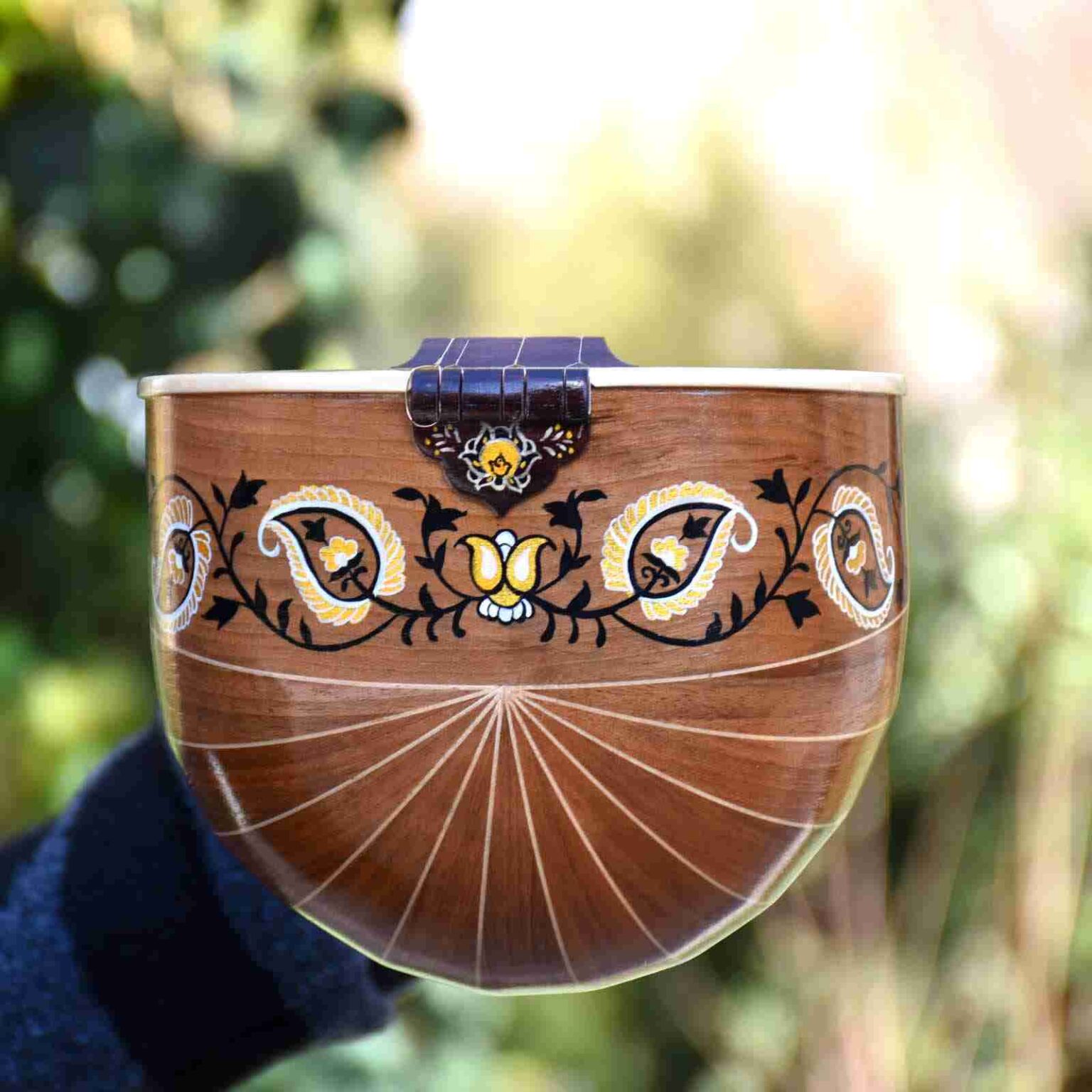 Persian Setar Instrument Handcrafted by Iransaz Model Shayan - ShopiPersia