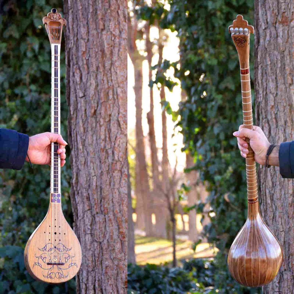 Persian Setar Instrument Handcrafted by Iransaz Model Berna - ShopiPersia