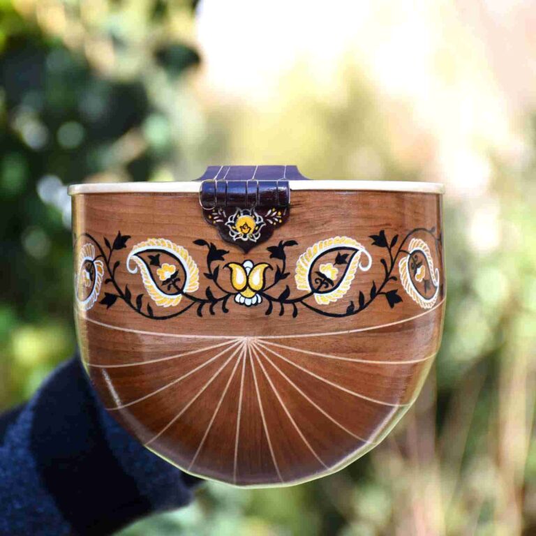 Persian Setar Instrument Handcrafted by Iransaz Model Shayan - ShopiPersia