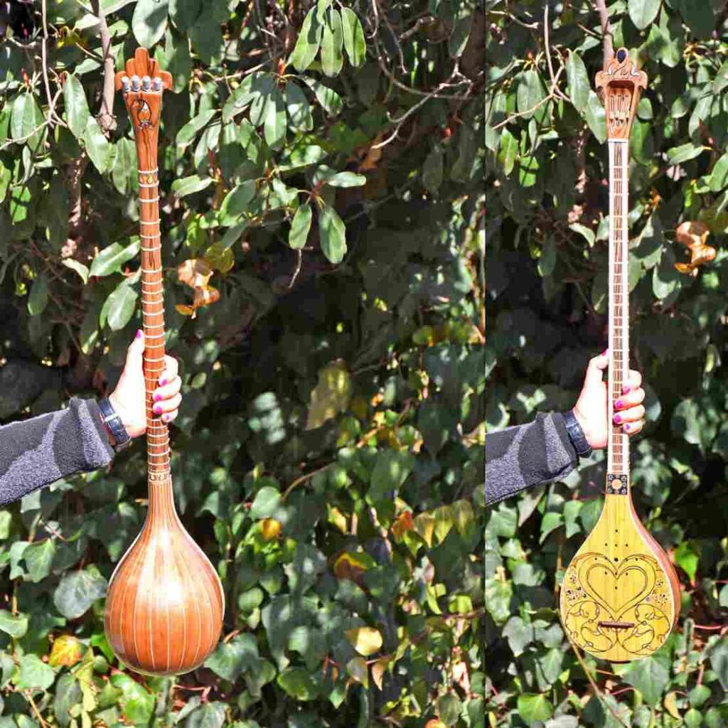 Persian Setar Instrument Handcrafted by Iransaz Model Shayan - ShopiPersia