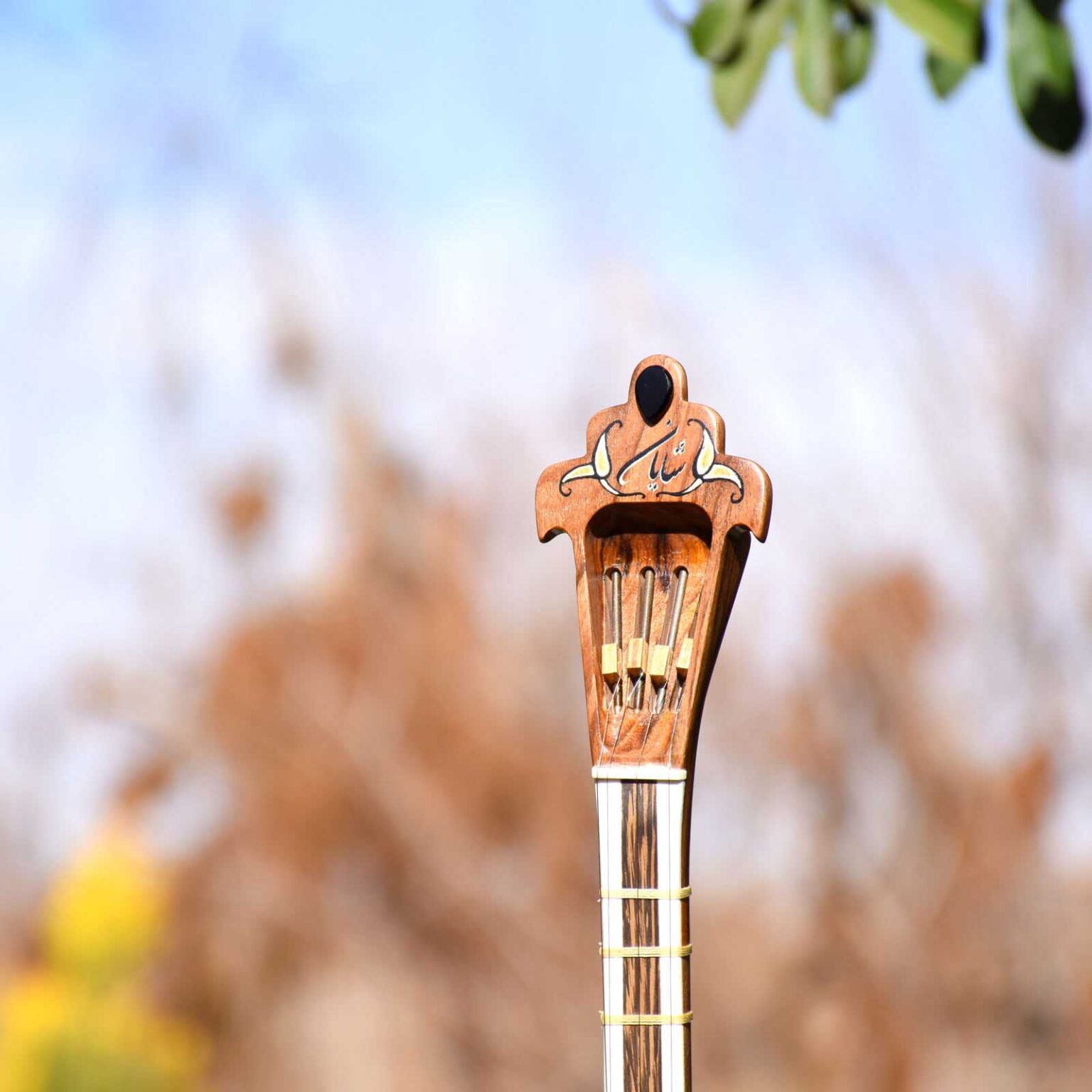 Persian Setar Instrument Handcrafted by Iransaz Model Shayan - ShopiPersia