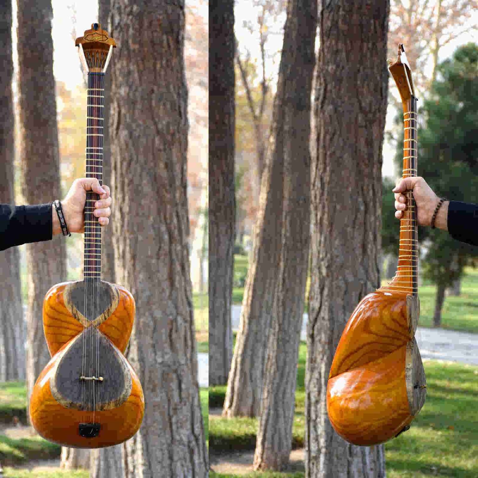 Persian Taar String Instrument Iransaz Model Sepehr - ShopiPersia