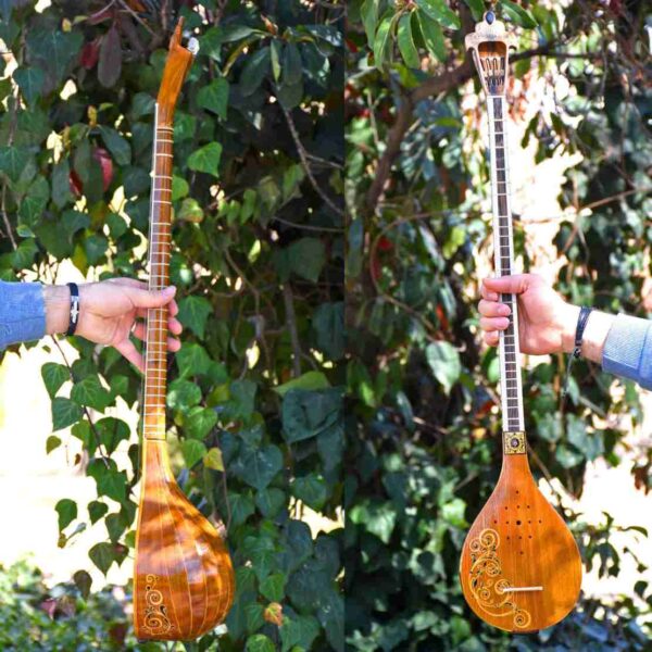 Persian Setar Instrument Handcrafted by Iransaz Model Hamon - ShopiPersia