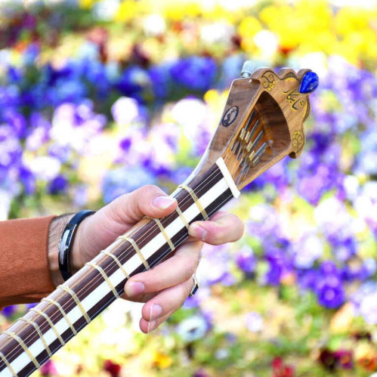 Persian Tar Handcrafted String Instrument by Iran-Saz Model Shahkar ...