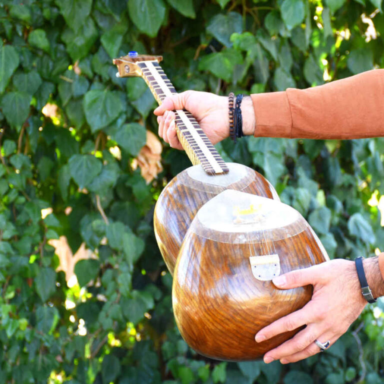 Persian Tar Handcrafted String Instrument by Iran-Saz Model Shahkar ...