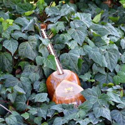 Persian Tar Handcrafted String Instrument by Iran-Saz Model Shahkar ...