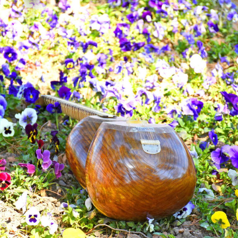 Persian Tar Handcrafted String Instrument by Iran-Saz Model Shahkar ...