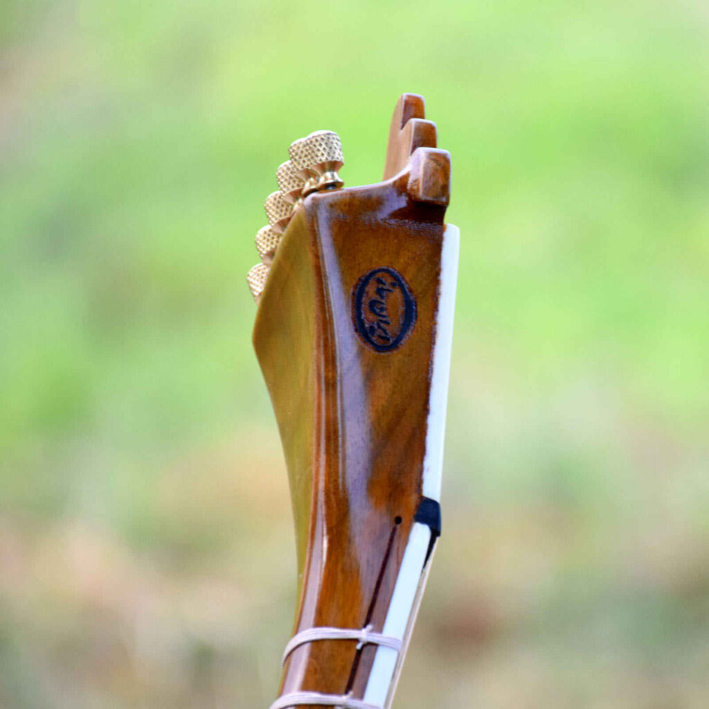 Persian Tar Handcrafted String Instrument by Mahoor - ShopiPersia