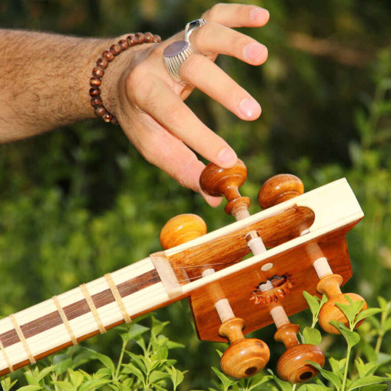 Persian Tar String Instrument – Handcrafted by Iran-Saz, Model 2 Stamp ...
