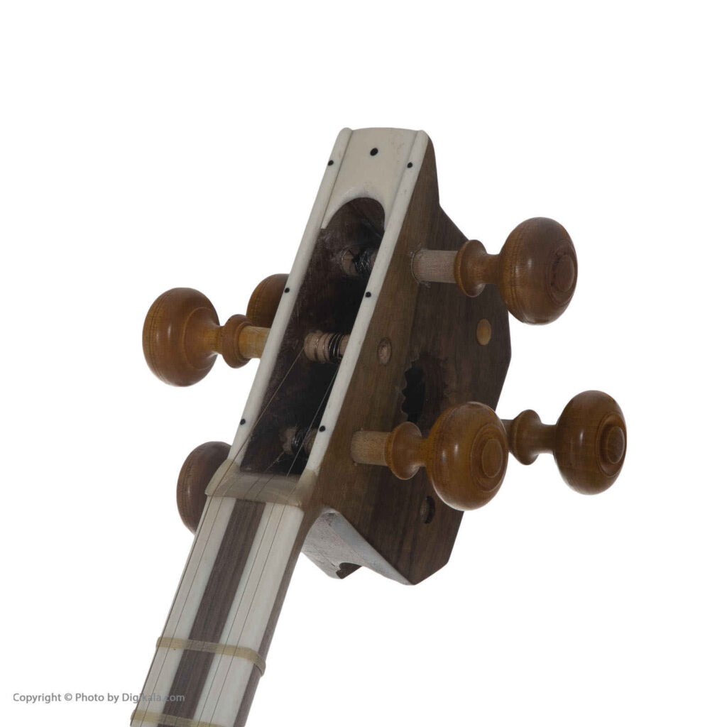 Persian Tar Handcrafted String Instrument by Qeysari - ShopiPersia
