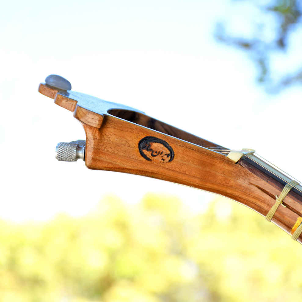 Persian Tar String Instrument – Handcrafted by Iran-Saz, Model Molana ...