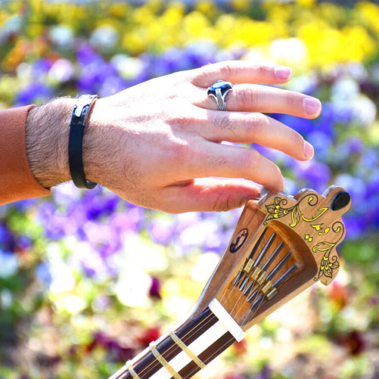 Persian Tar Handcrafted String Instrument by Iran-Saz Model Vida ...