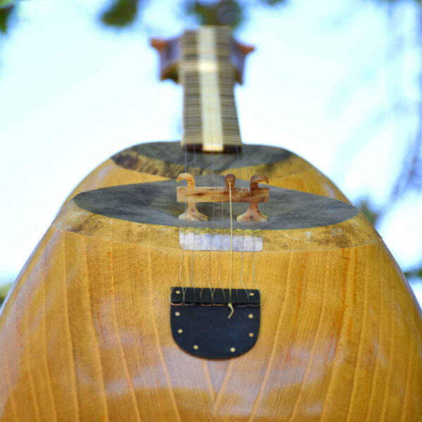 Persian Tar Handcrafted String Instrument by IranSaz Model Mehregan ...