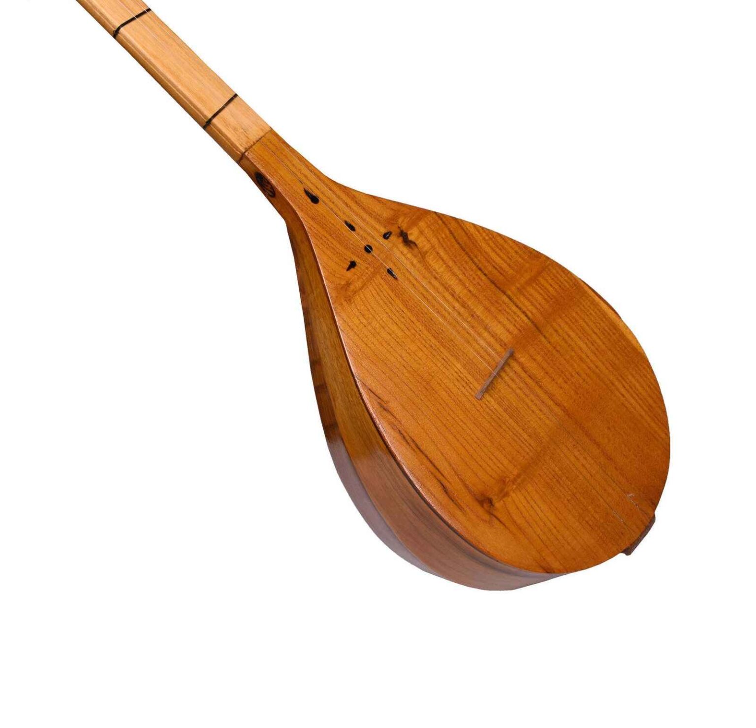 Persian Dutar Instrument by Master Farid, Economy - ShopiPersia