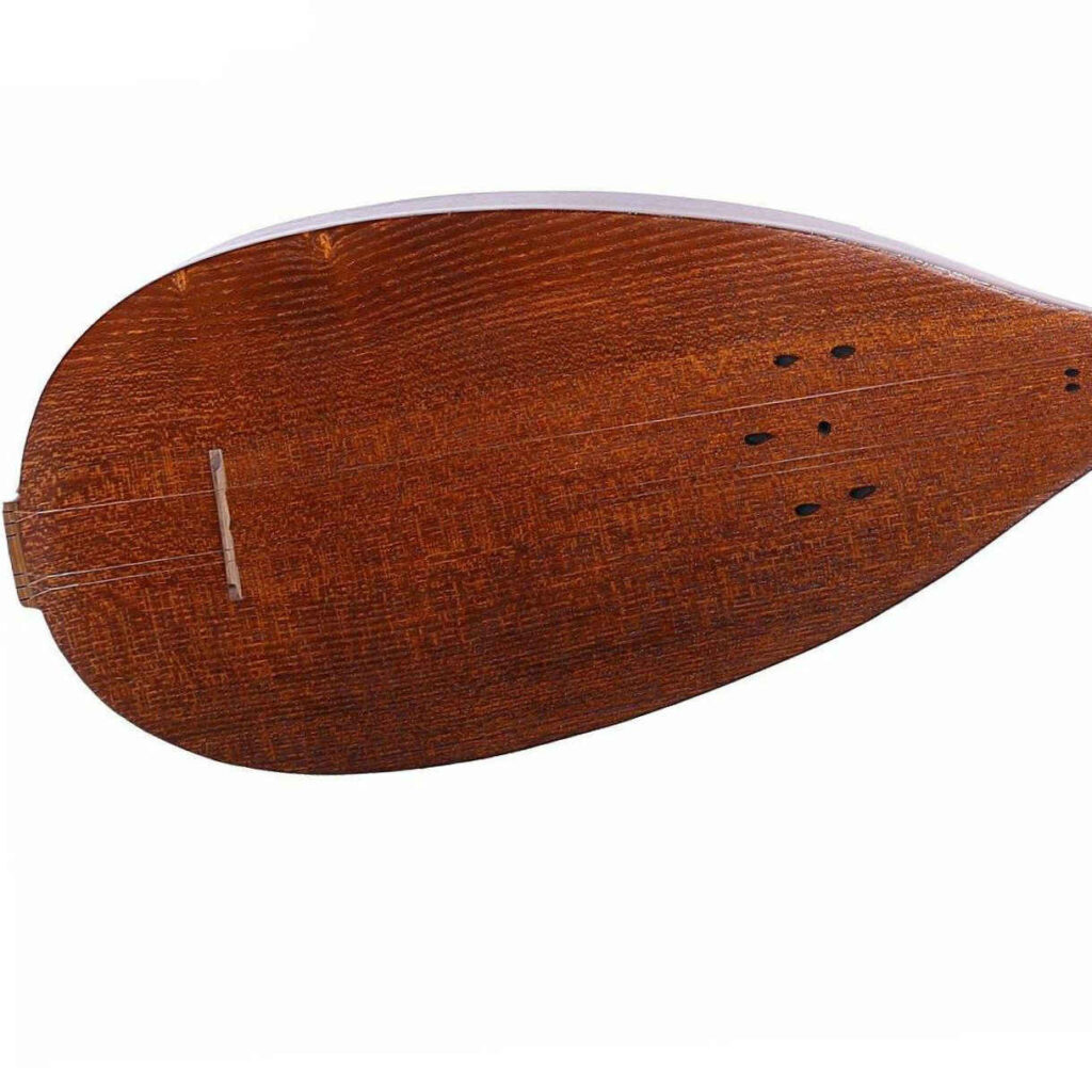 Persian Dutar Instrument by Master Farid, Economy - ShopiPersia