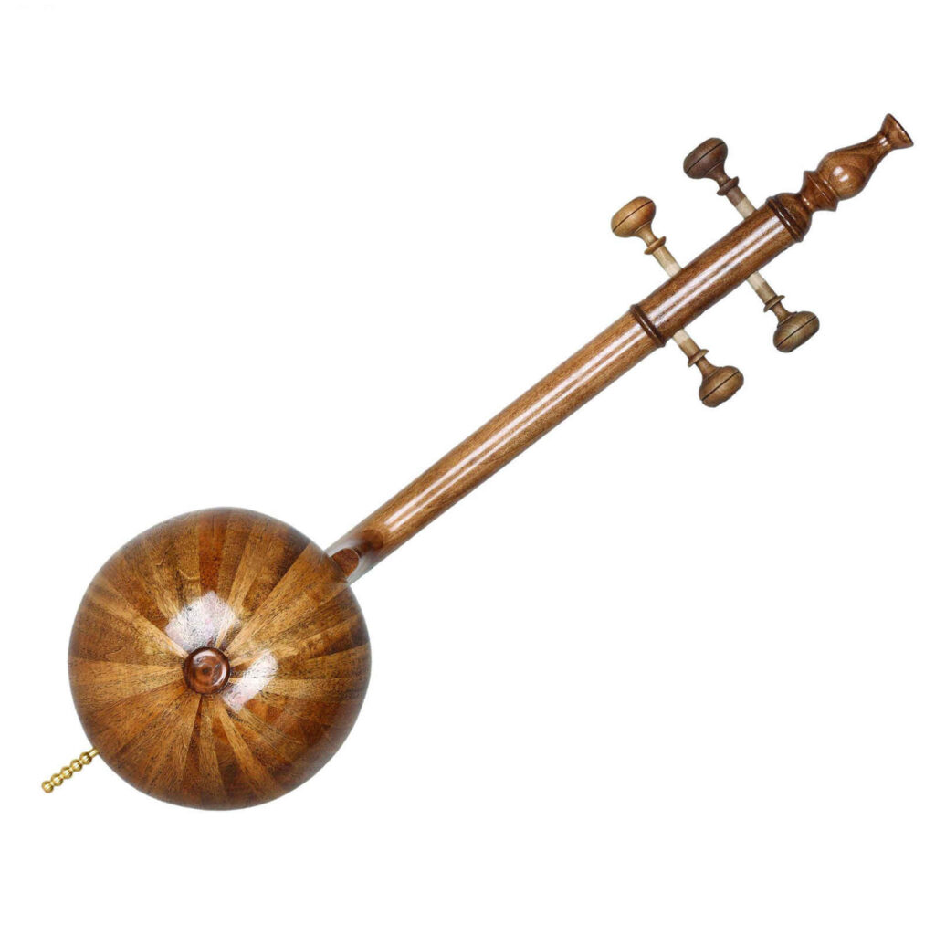 Persian Kamancheh Instrument Cloth Back Handcrafted by Nariman A1 ...