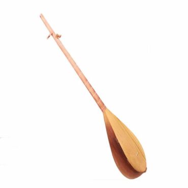 Persian Dutar Instrument by Master Hassani, Professional - ShopiPersia