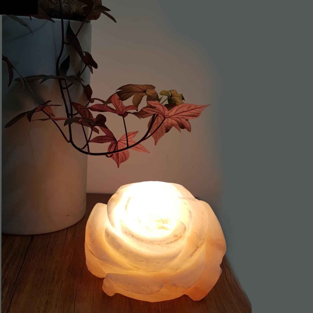 Natural Salt Lamp Model Flower - ShopiPersia