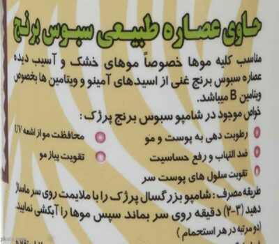 Parjak Rice Extract Shampoo for All Hair Types - Nourishing & Gentle ...