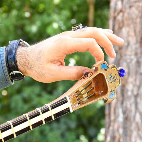 Persian Setar Instrument Handcrafted by Iransaz Model Azadeh - ShopiPersia