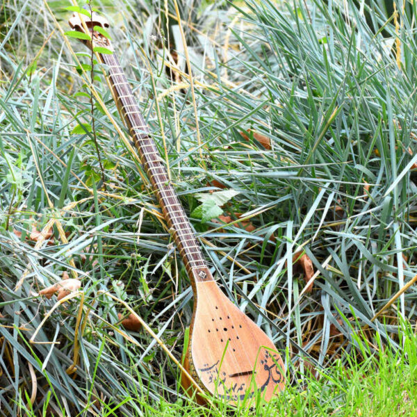 Persian Setar Instrument Handcrafted by Iransaz Model Shahnavaz ...