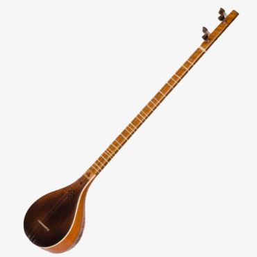Persian Setar Instrument Handcrafted by Iransaz Model Shayan - ShopiPersia