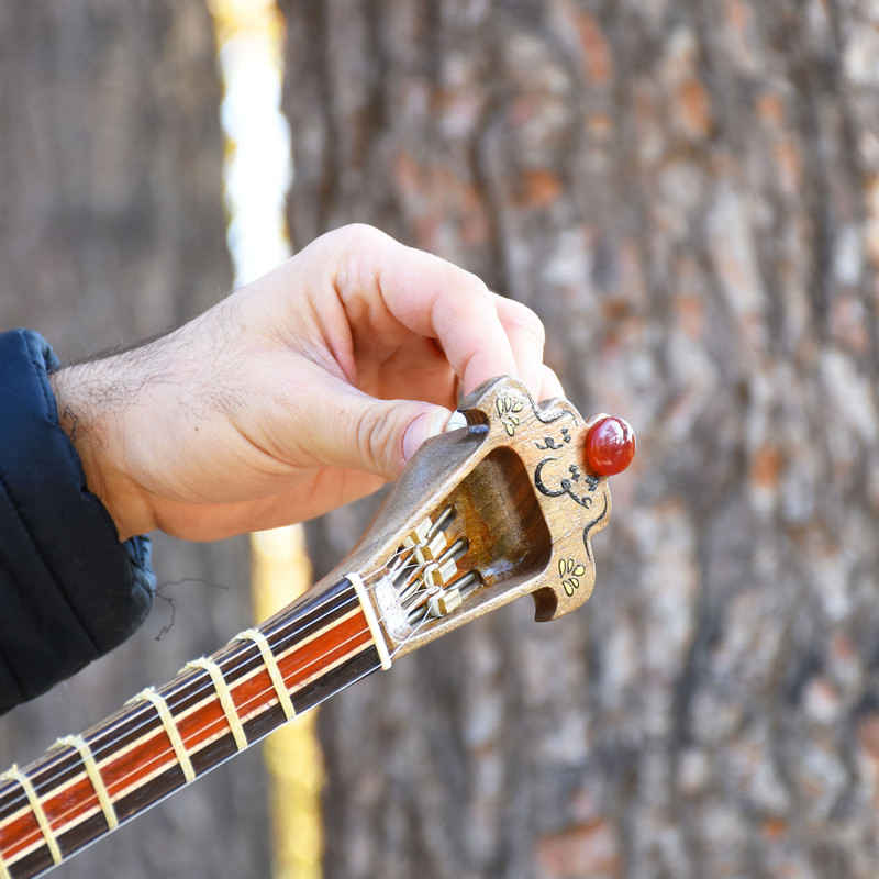 Persian Setar by Iransaz, Model Eshgh-e To (High-Quality) - ShopiPersia