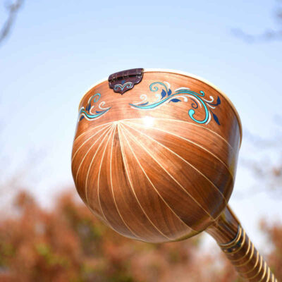 Persian Setar Instrument Handcrafted by Iransaz Model Farhan - ShopiPersia