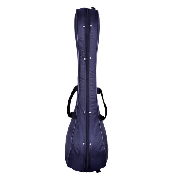 Professional Persian Setar Instrument Handcrafted by Ava Model Ava ...