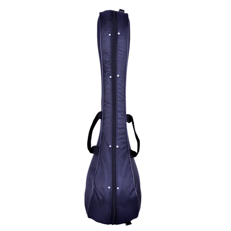 Professional Persian Setar Instrument Handcrafted by Ava Model Ava ...