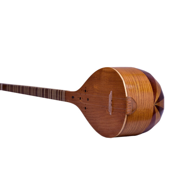 Professional Persian Setar Instrument Handcrafted by Ava Model Ava ...